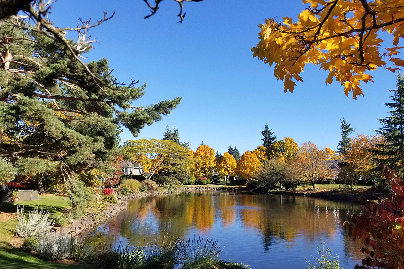 A walk through The Lakes on Mercer Island | Eye on MI | Mercer Island ...