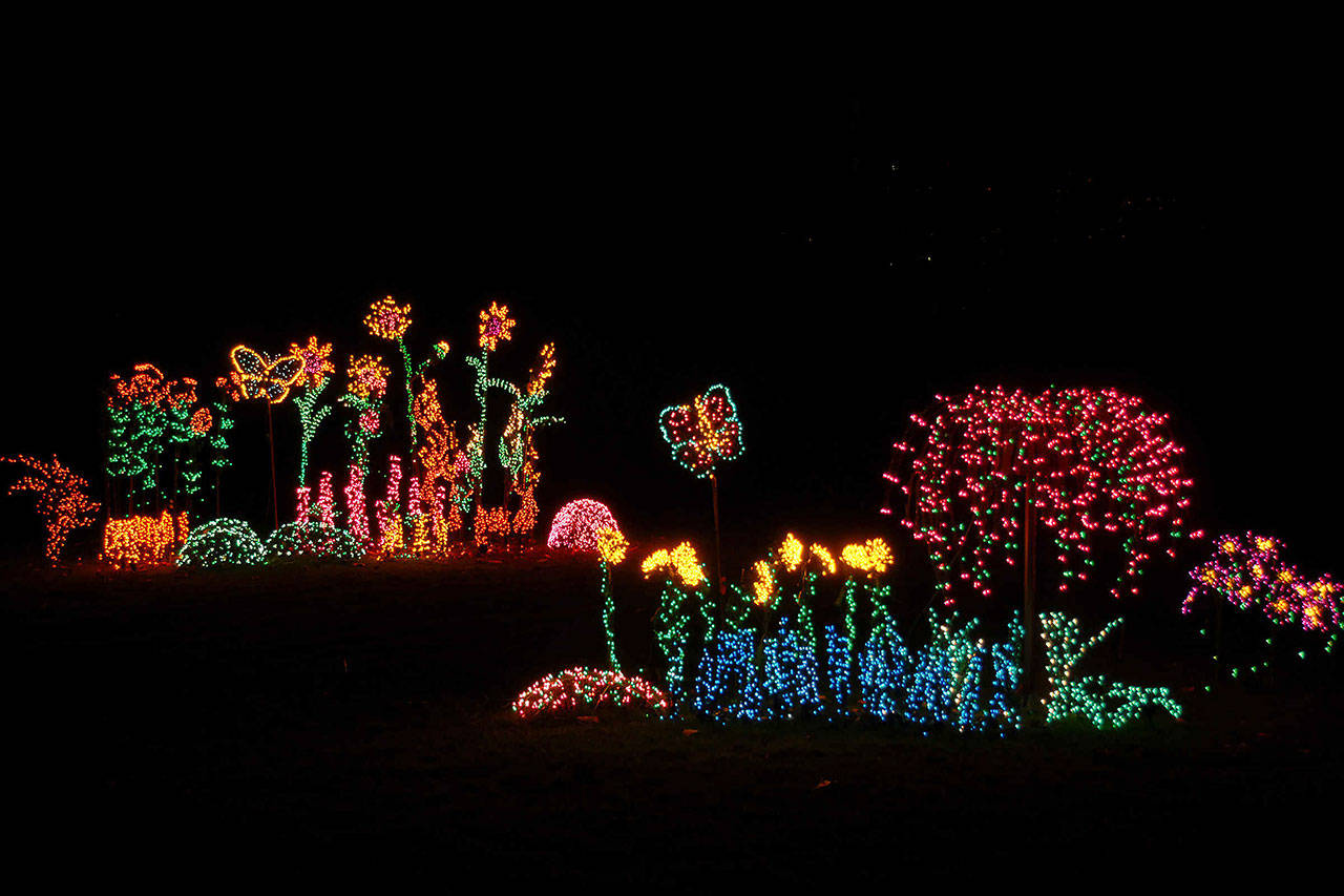 Garden delights with over half million dazzling lights in Bellevue ...