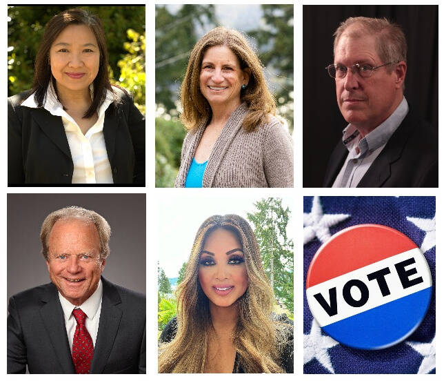 Five candidates are on the ballot for Legislative District 41 primary ...