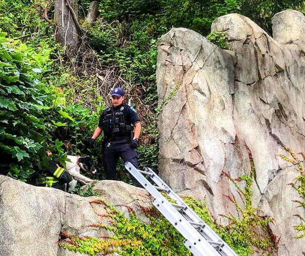 To the rescue | Mercer Island Reporter