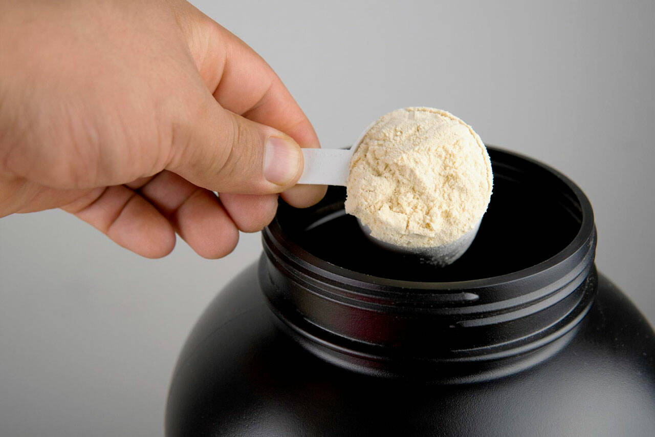 Protein Powder 101: What It Does And What Is It Made From? | Mercer ...
