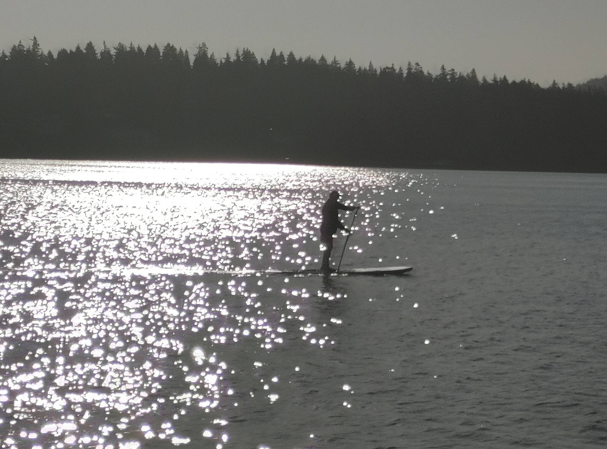 Morning workout on Lake Washington | Mercer Island Reporter