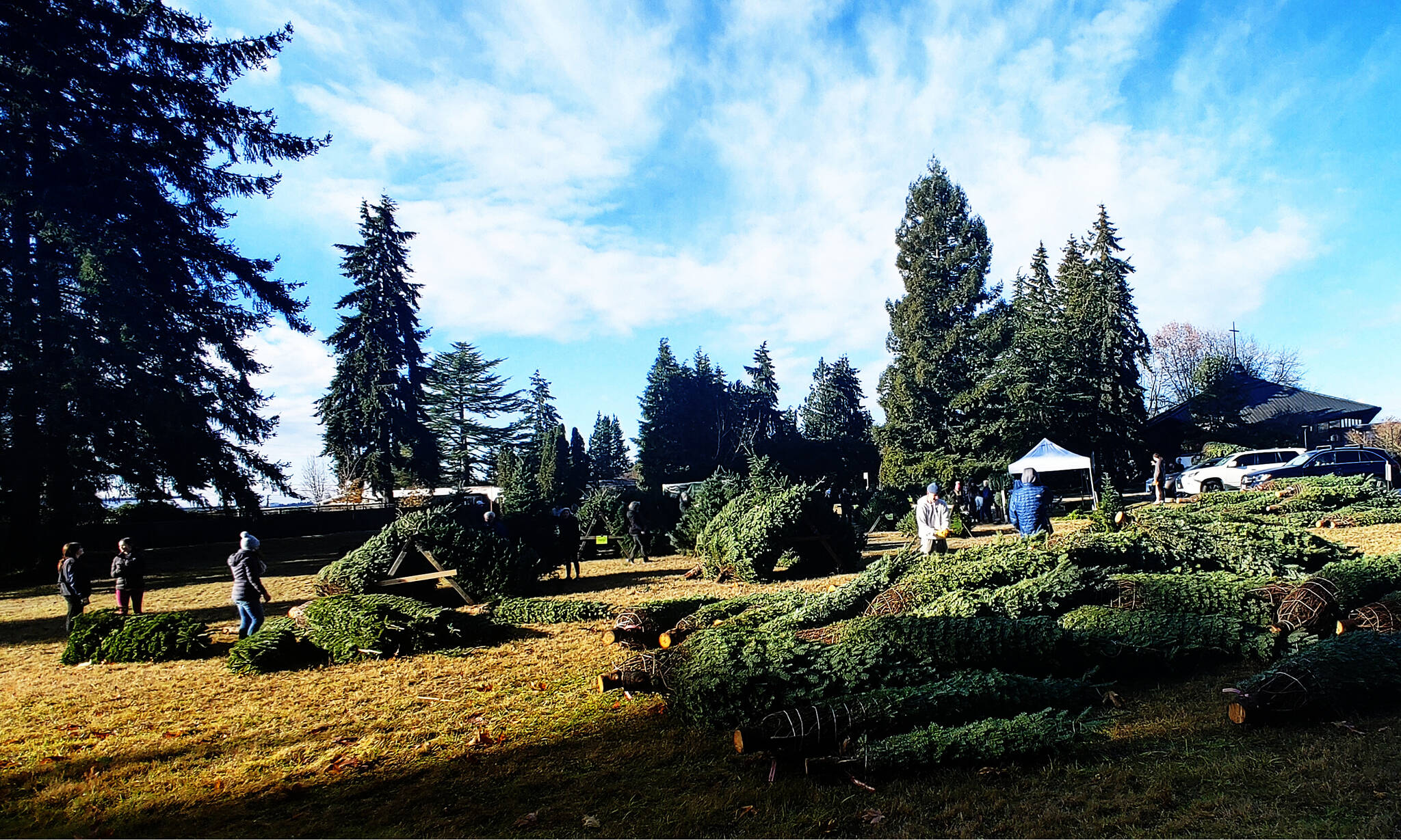 It’s all about community at holiday tree lot | Mercer Island Reporter