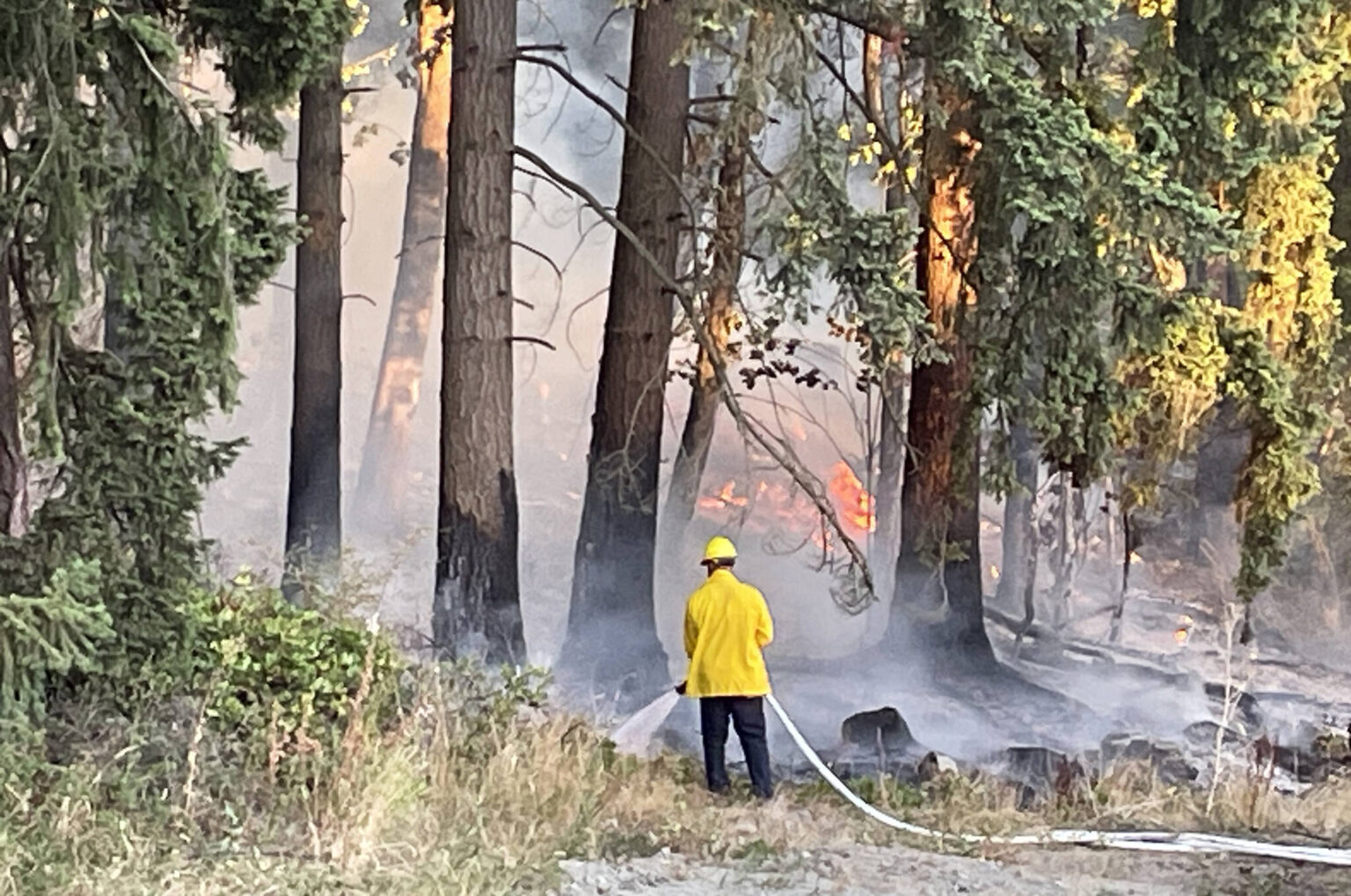 Firefighters extinguish brush fire on West Hill in Kent | Mercer Island ...