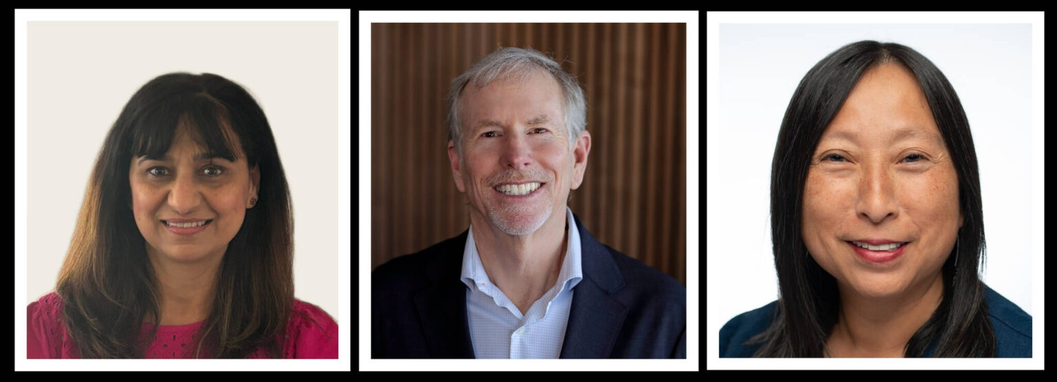 Initial LD 41 primary results released | Mercer Island Reporter