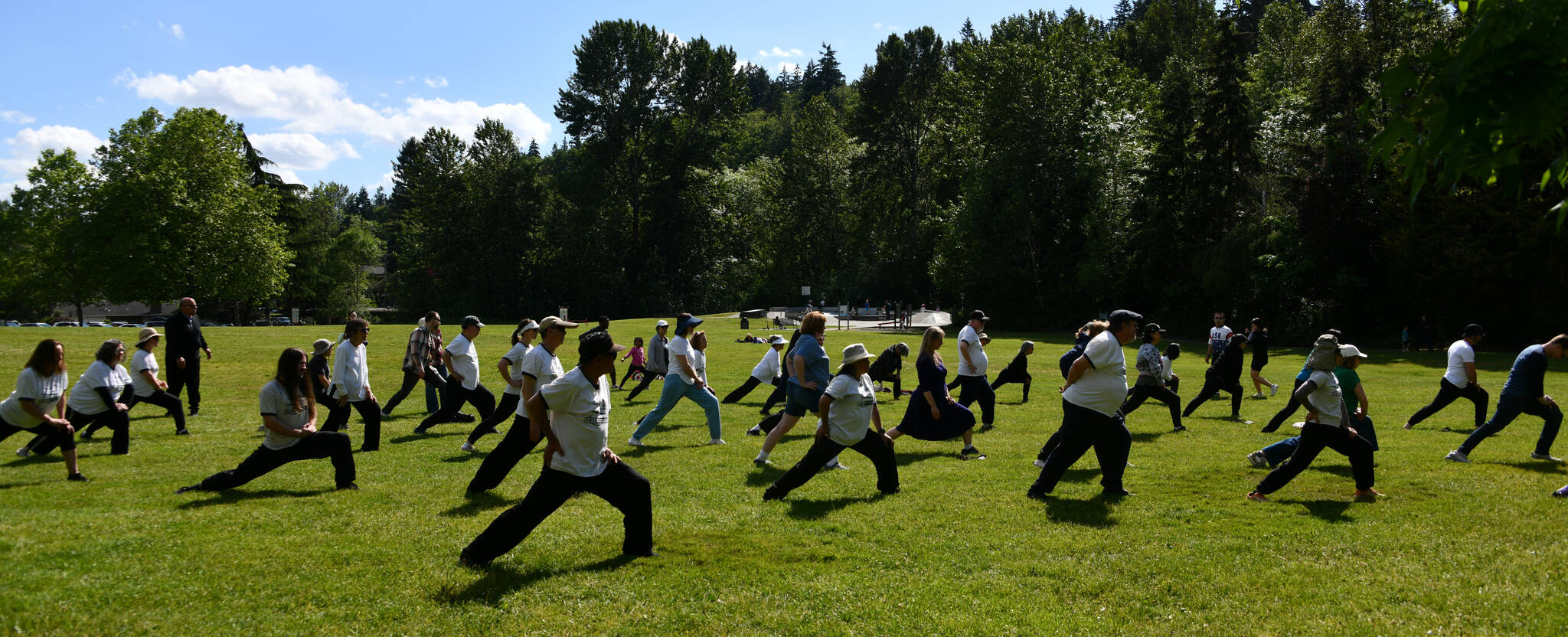 Stretching out at Tai Chi in the Park | Mercer Island Reporter